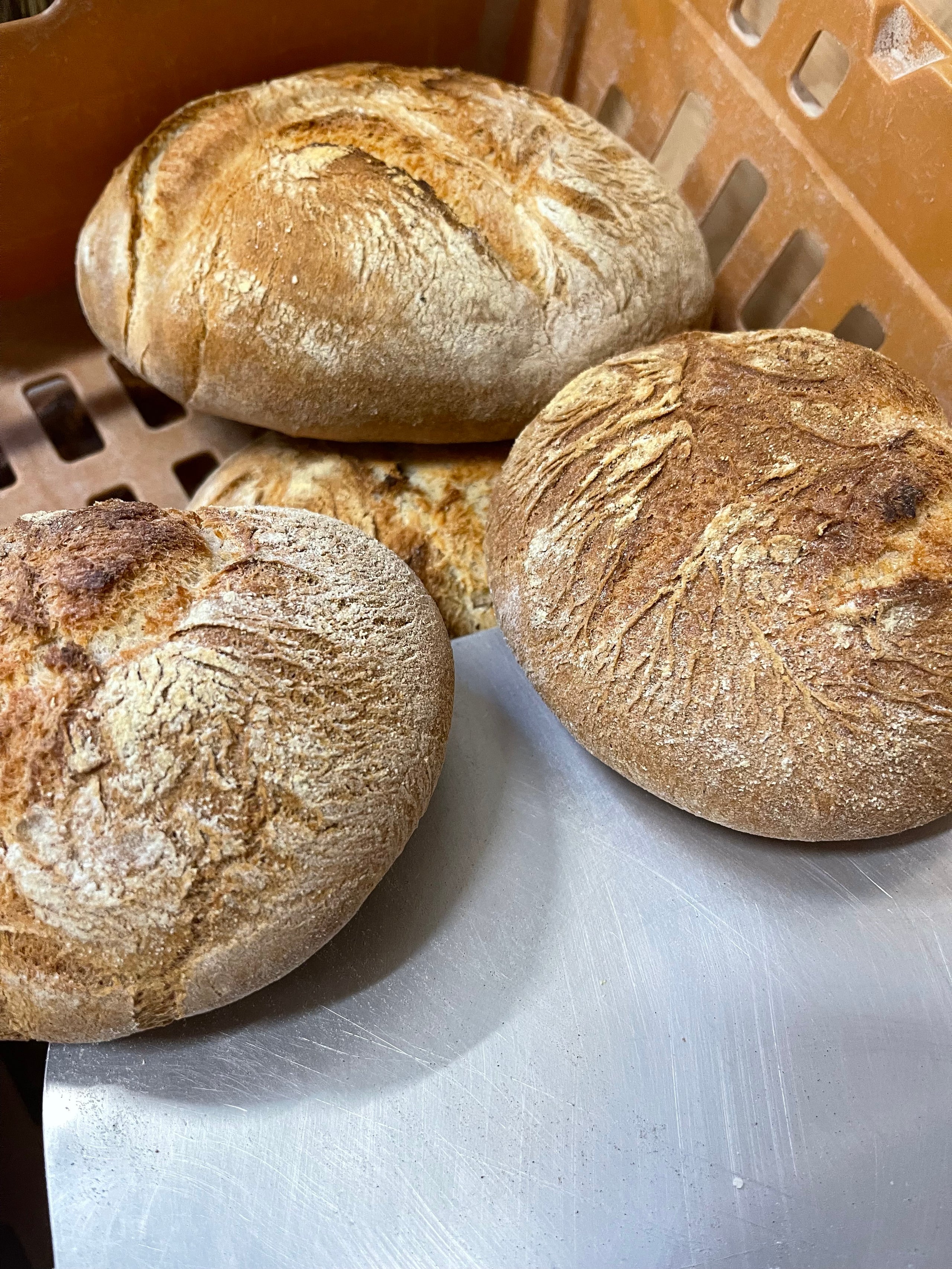 Large corn bread | Boa Bakery